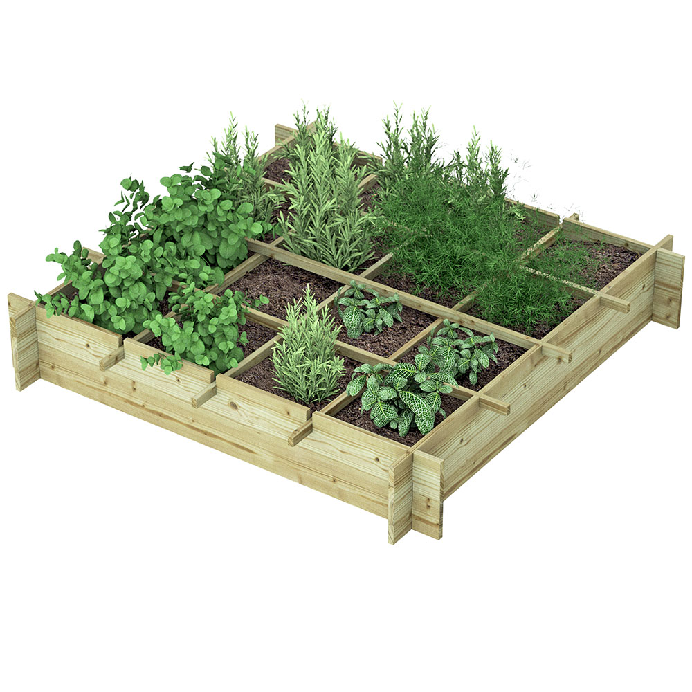 Royal Well Kweekbak Wild Celery - Planter - Gardeners World magazine ...